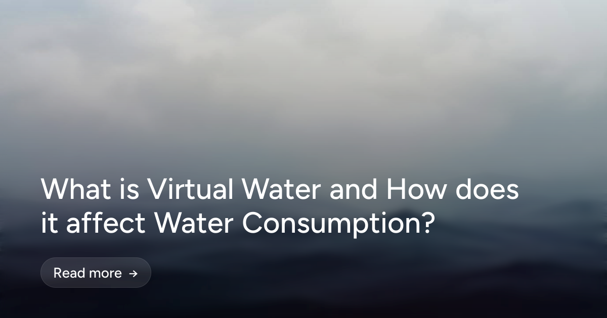 What is Virtual Water and How does it affect Water Consumption? | Manglai