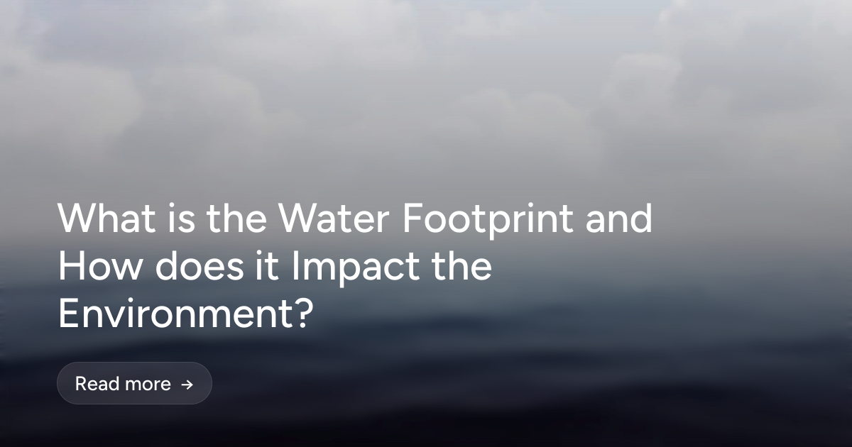 What is the Water Footprint and How does it Impact the Environment ...